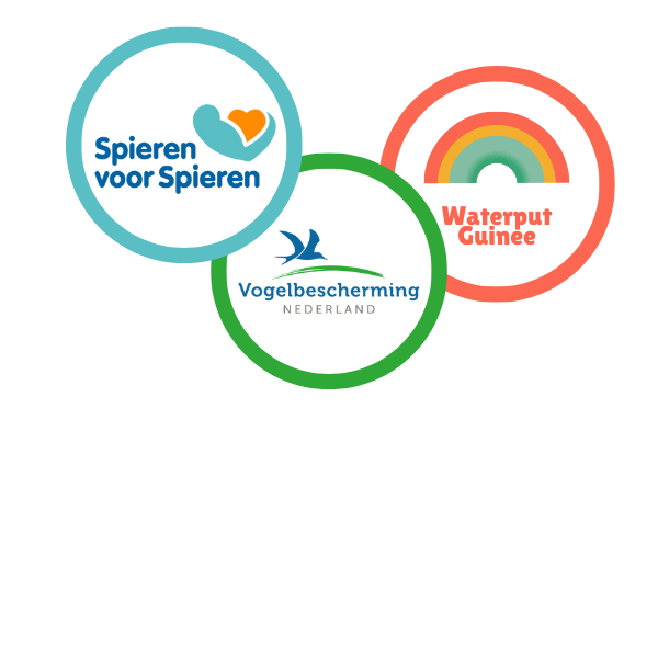 Numo - Het online leermiddel voor rekenen en talen